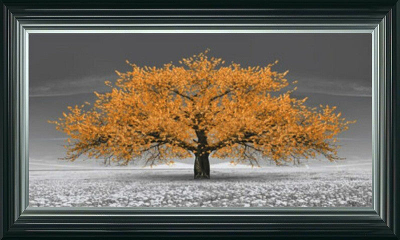 Orange Cherry Blossom Tree – The Gallery